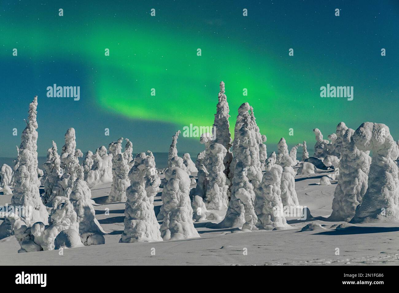 Aurora borealis over ice sculptures in Finnish Lapland, Riisitunturi ...