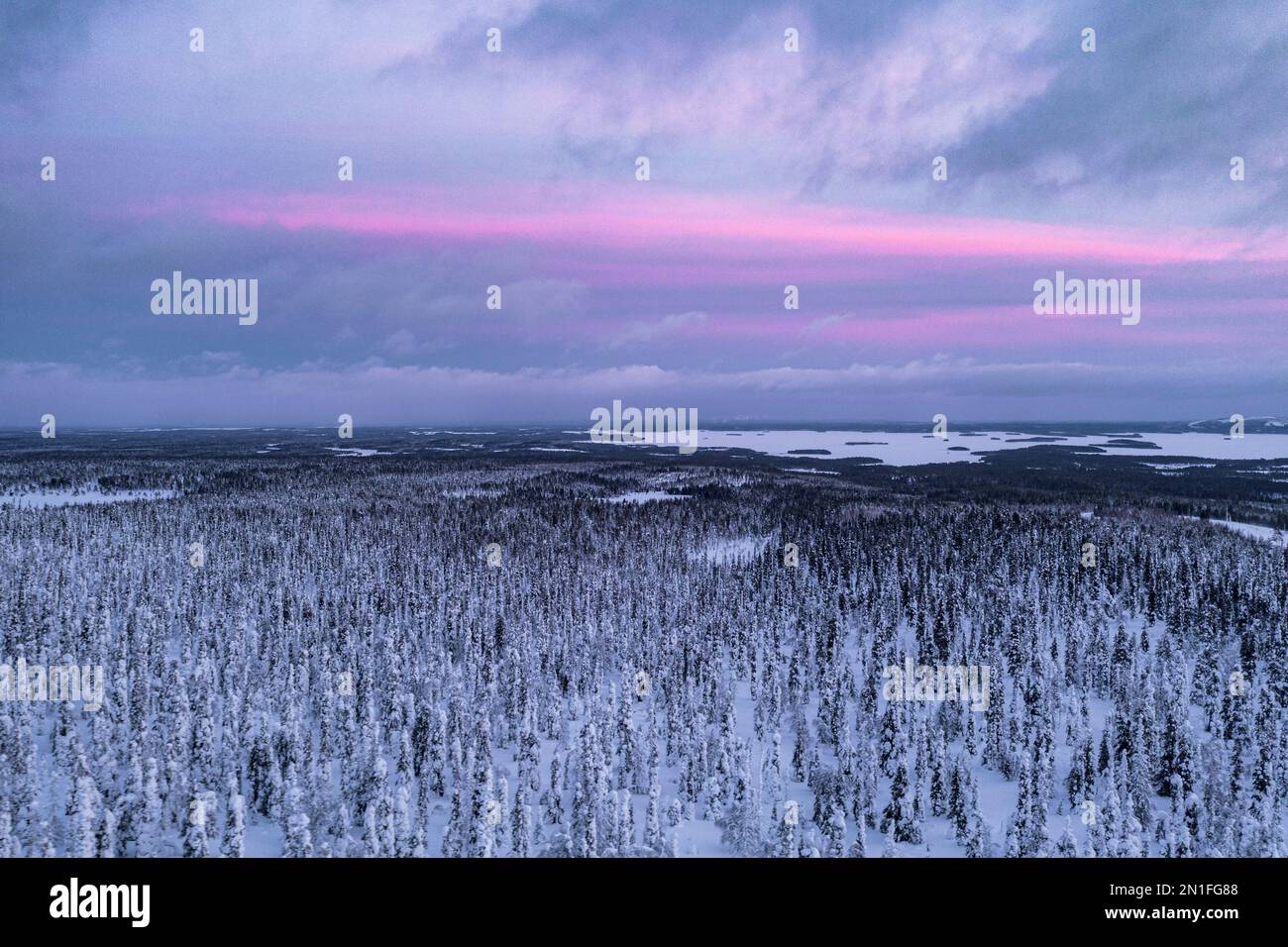 Aerial view of the arctic snowy forest at sunset, Riisitunturi National ...