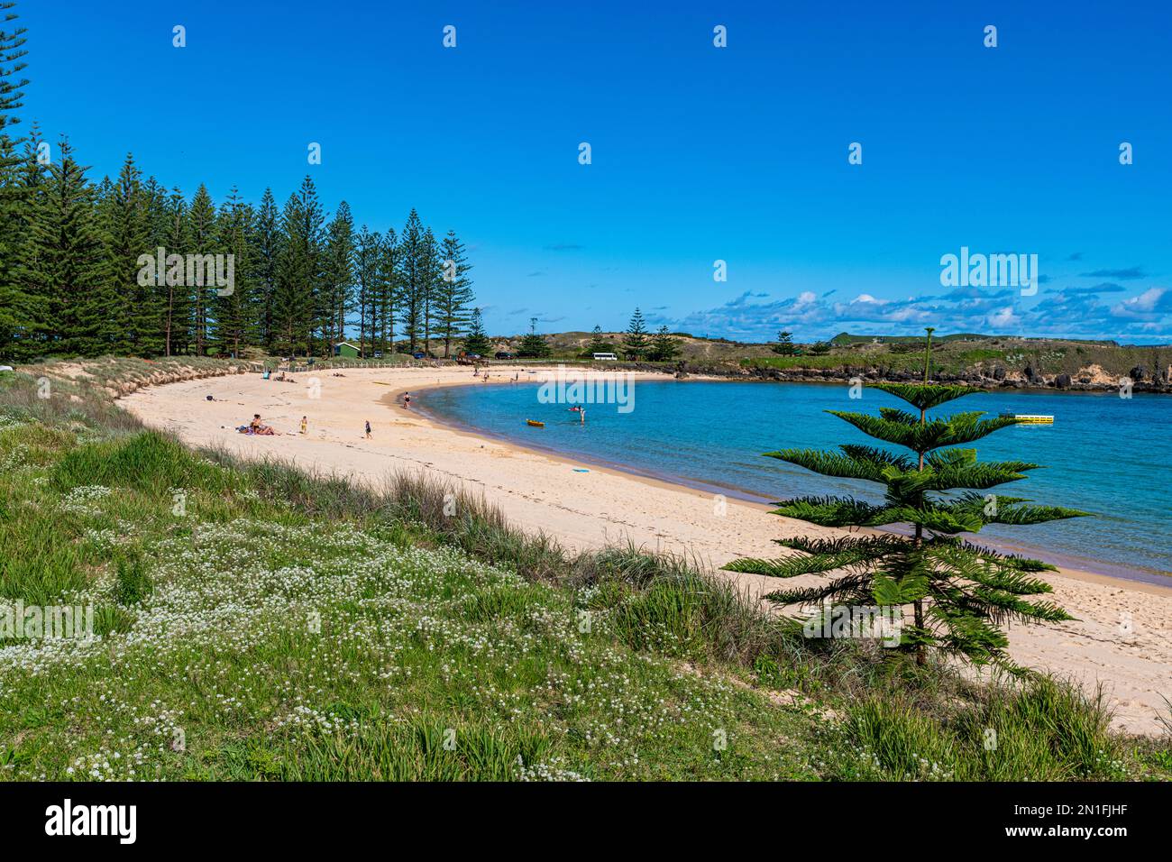 Sandy beach on Emily Bay, UNESCO World Heritage Site, Norfolk Island ...