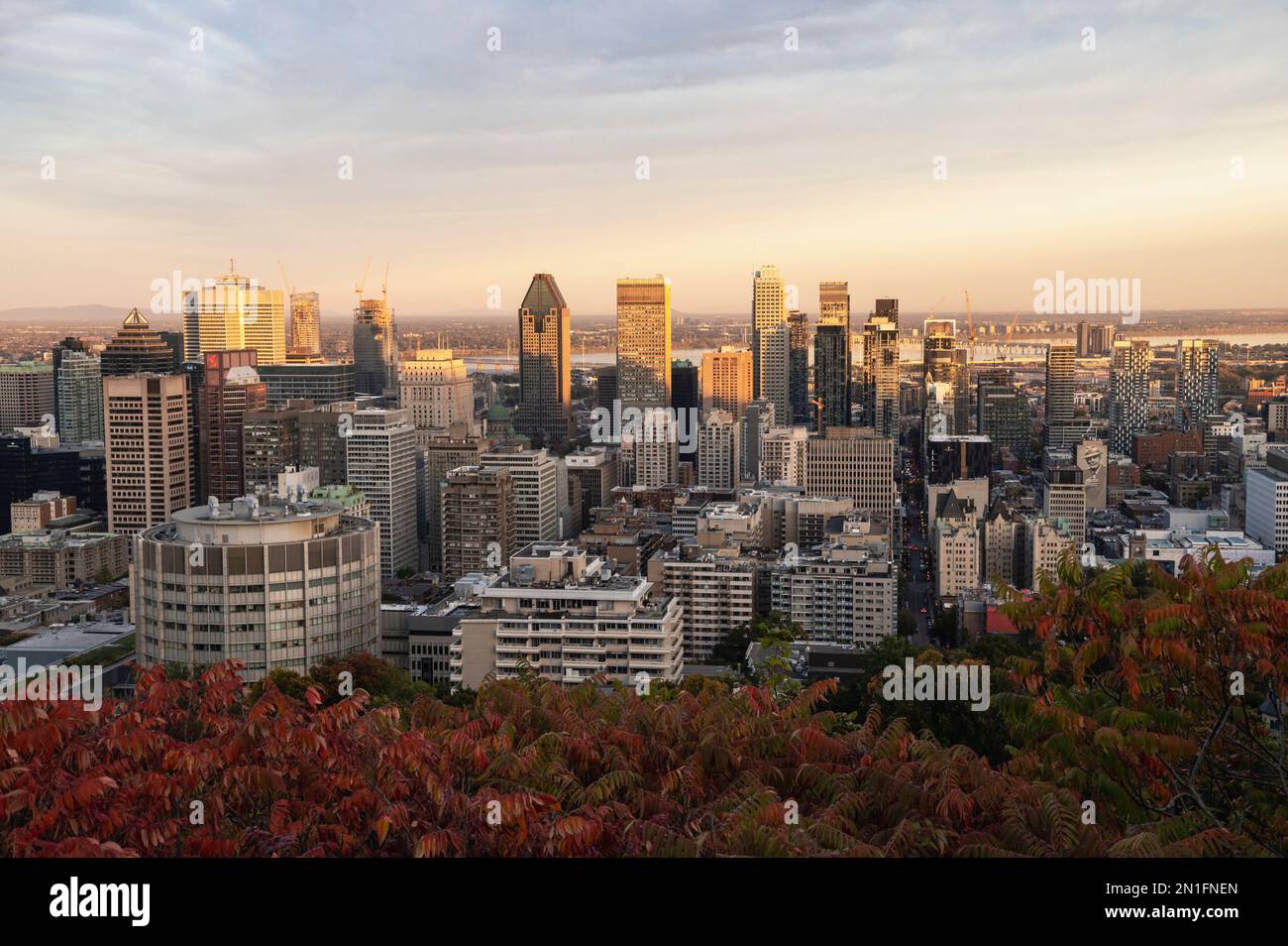 View of Montreal city skyline from Mont Royal Park in autumn at sunset ...