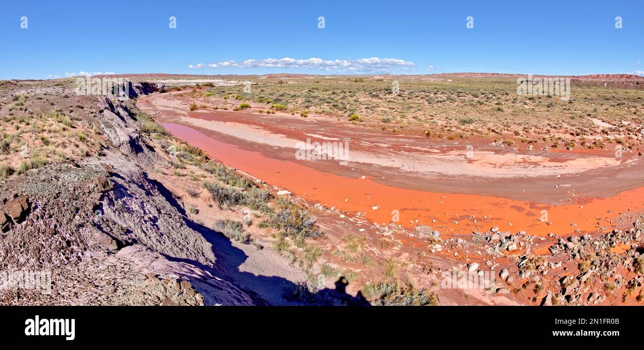 The red water of Lithodendron Wash, red from bentonite clay, in ...