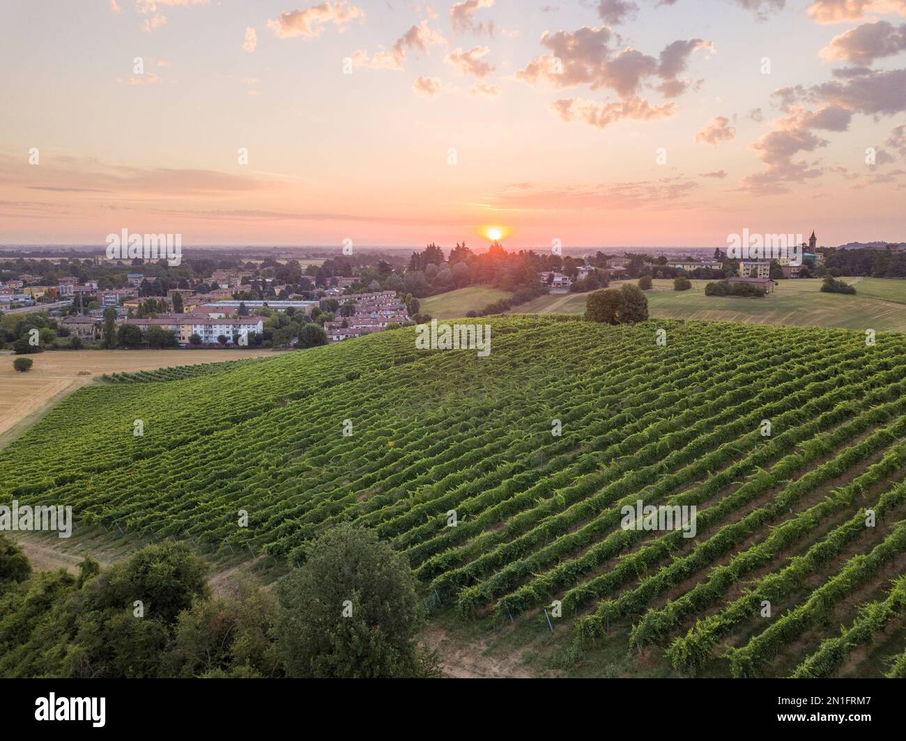 Aerial view of Italian vineyards with the sun rising on the horizon ...