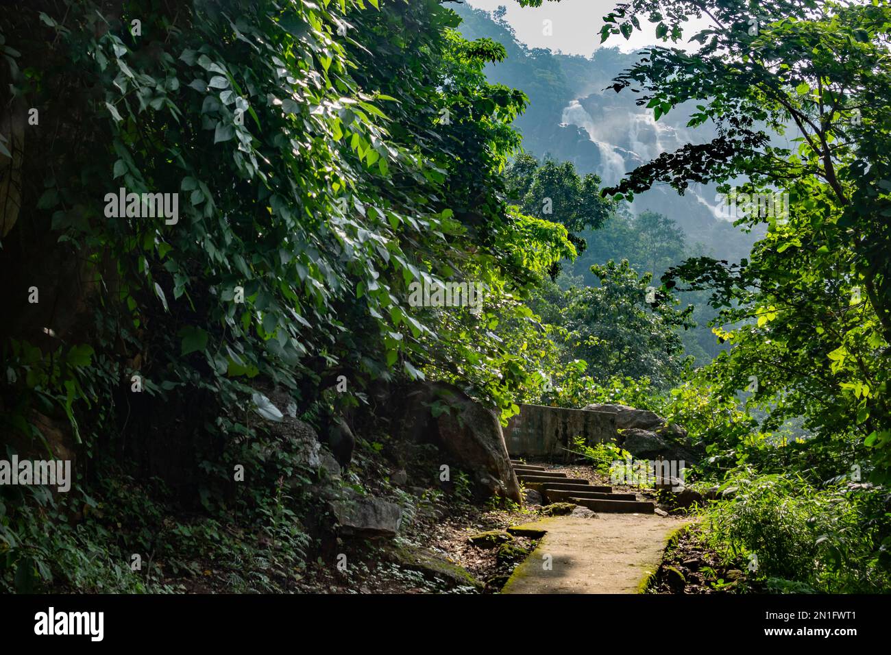 Lodh falls hi-res stock photography and images - Alamy