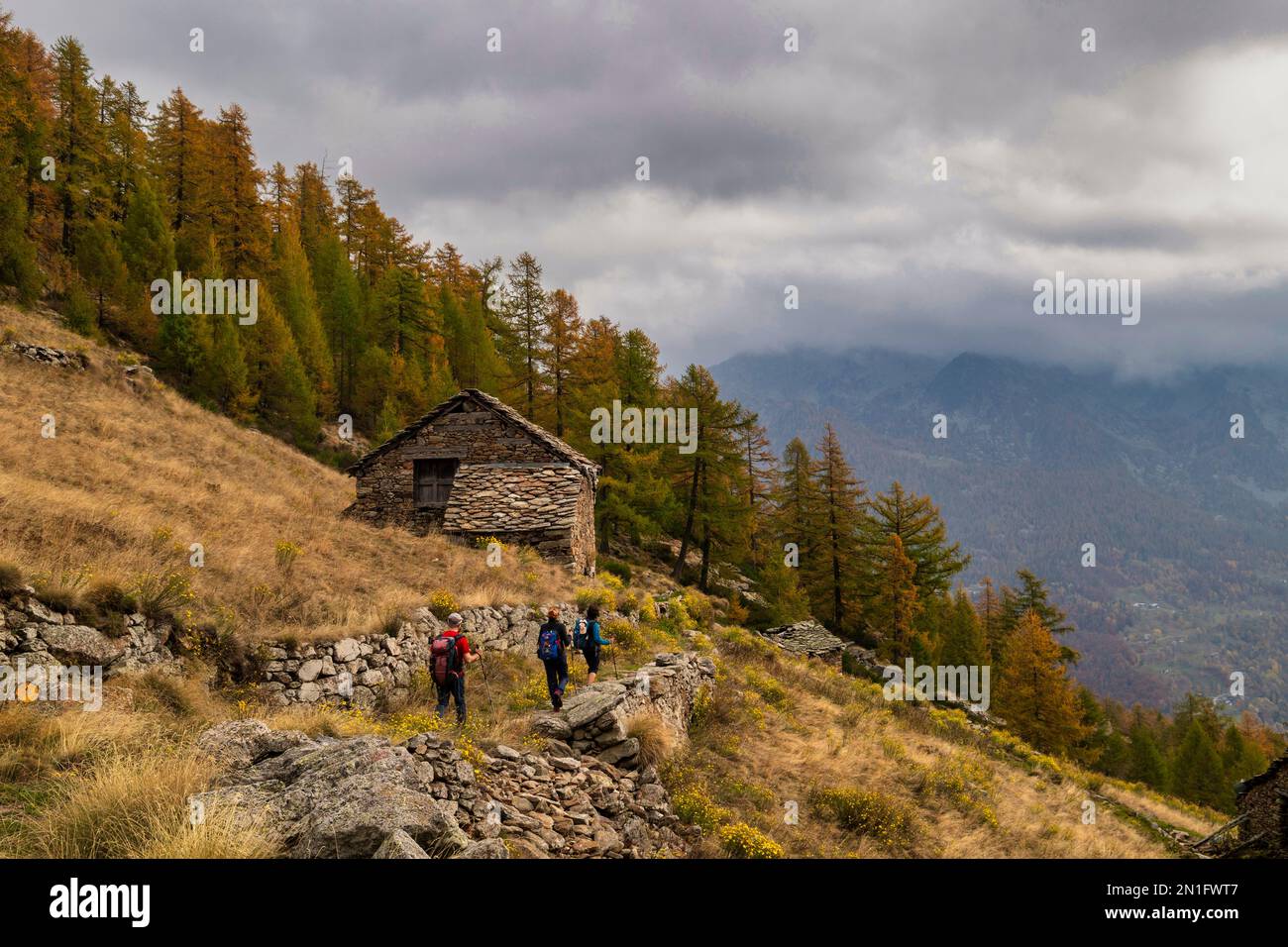Mule track hi-res stock photography and images - Alamy