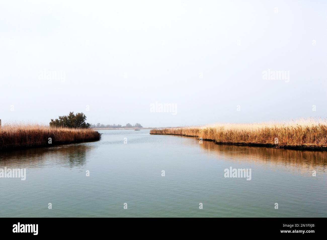 Emilia romagna po hi-res stock photography and images - Alamy