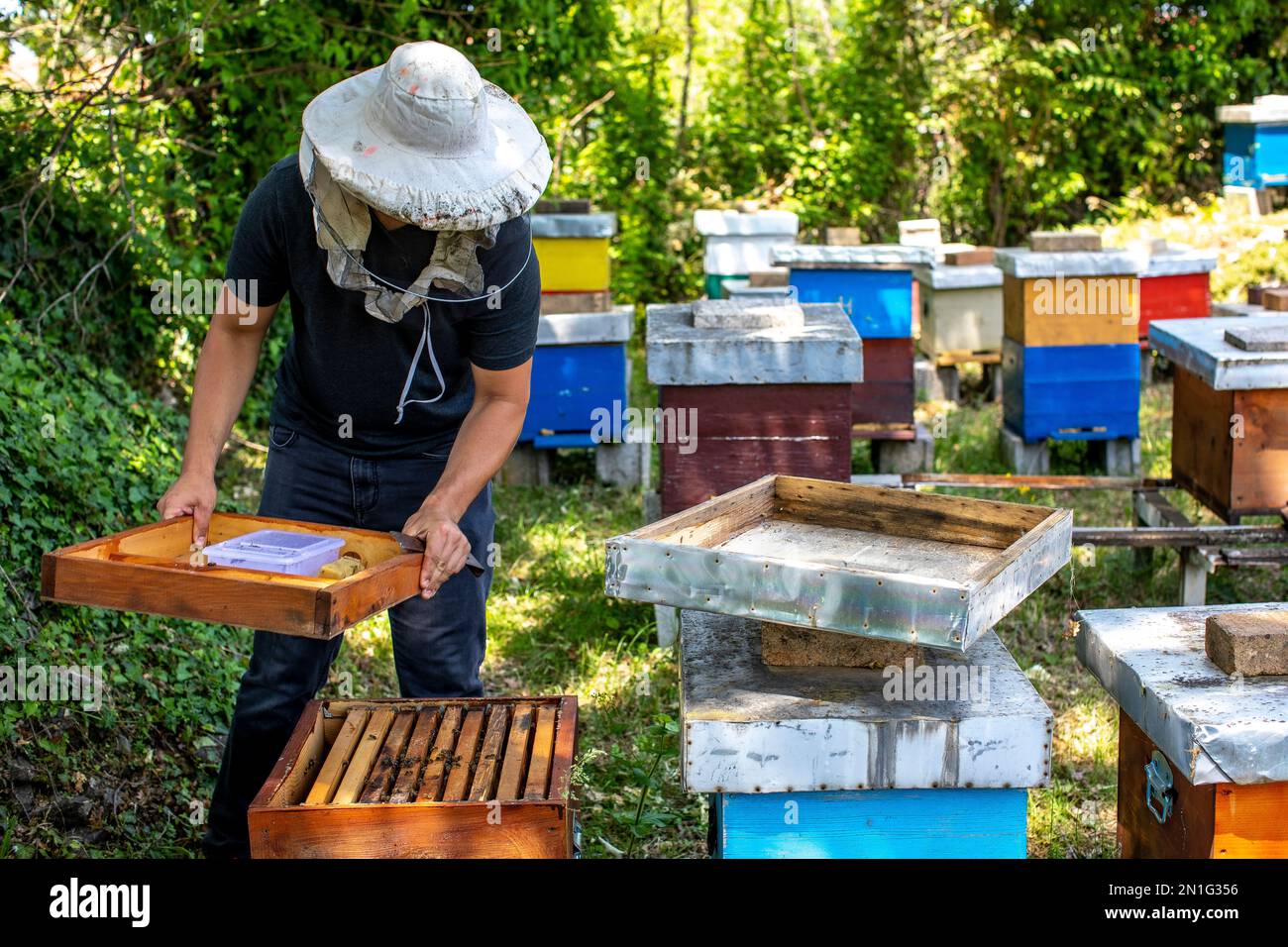 Beekeeper in Ubli, Montenegro, Europe Stock Photo - Alamy