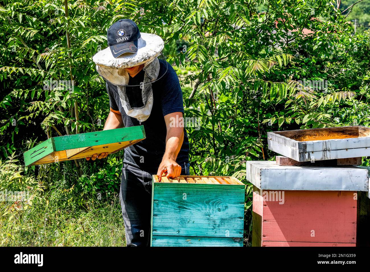Beekeeper in protective veil hat hi-res stock photography and images ...