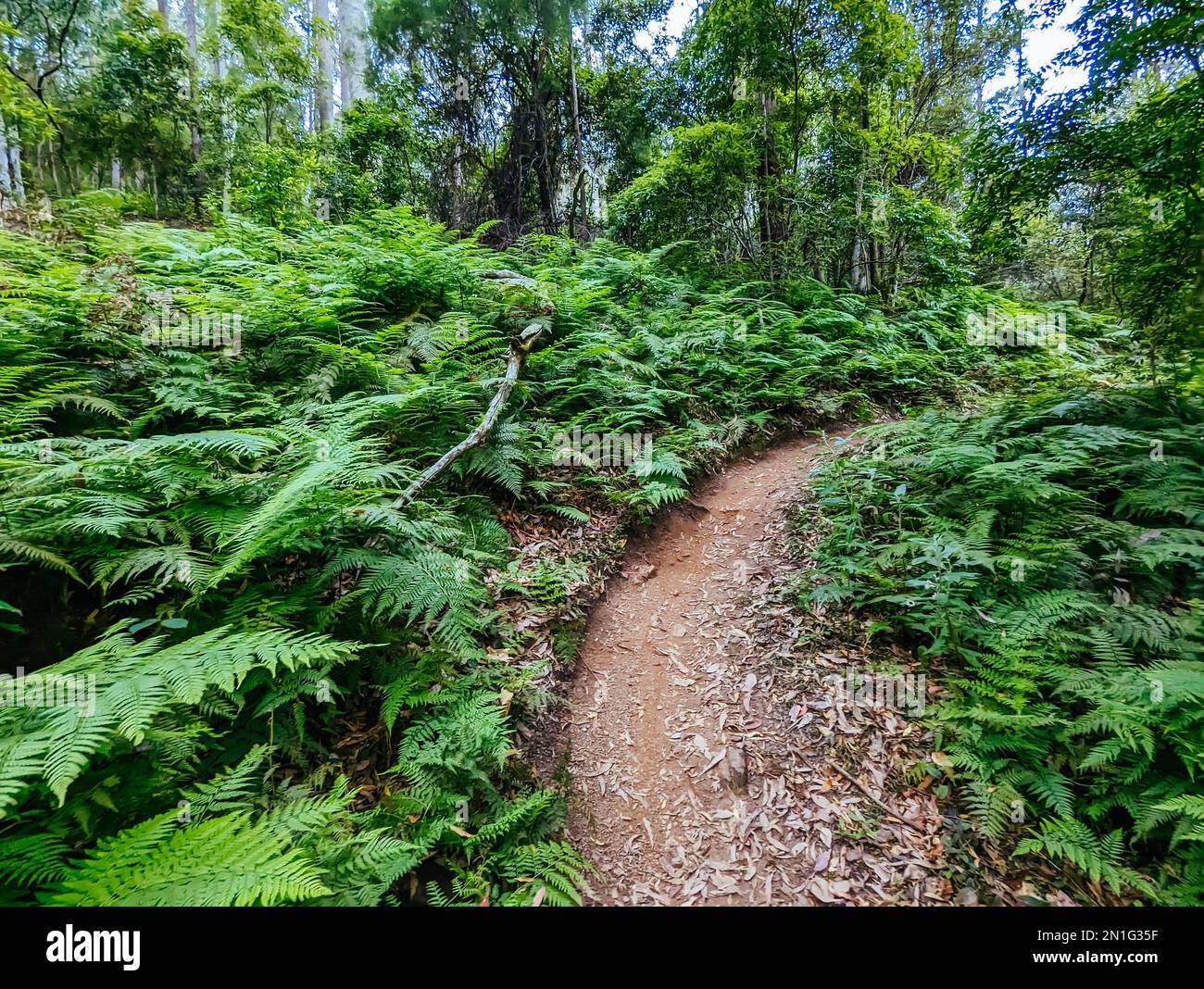 Narooma MTB Trails in Australia Stock Photo - Alamy