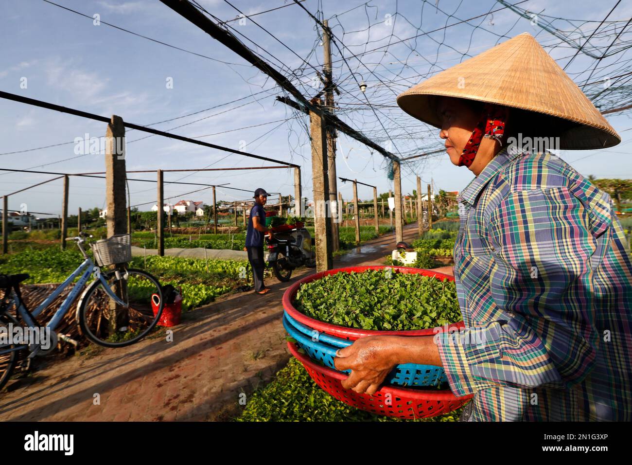 How farms work hi-res stock photography and images - Alamy