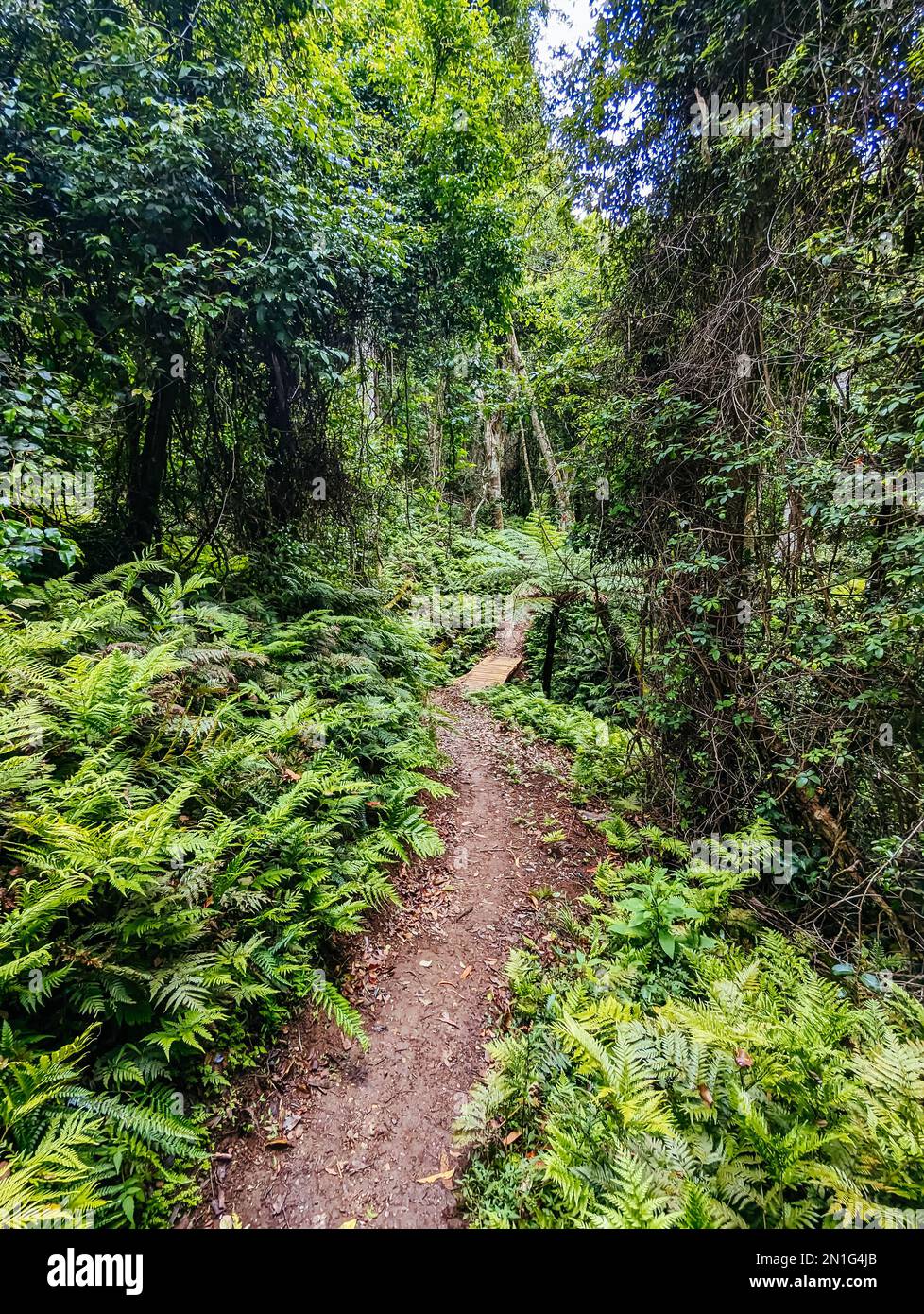 Narooma MTB Trails in Australia Stock Photo - Alamy