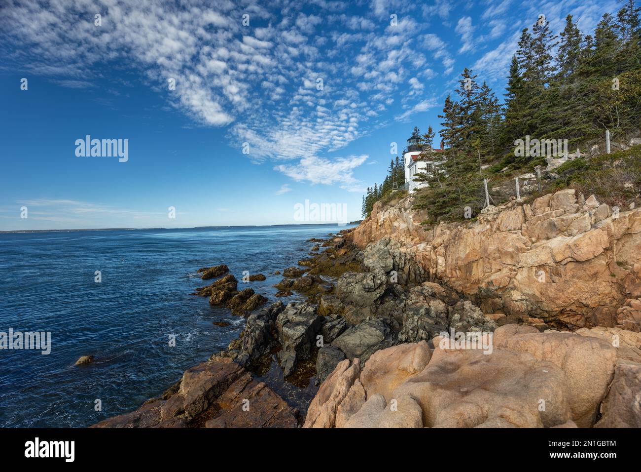 Pine tree coast atlantic ocean hi-res stock photography and images - Alamy