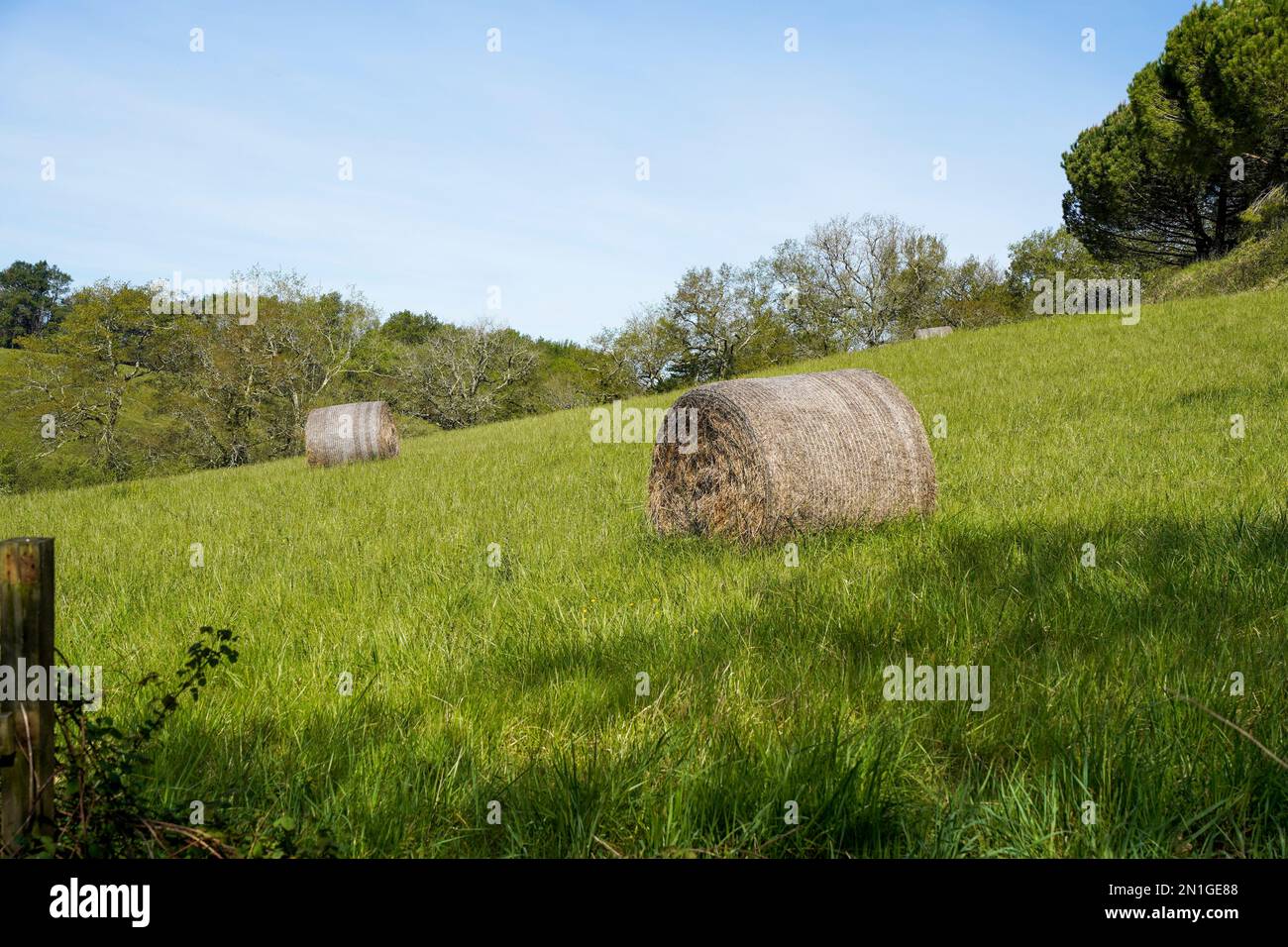Rolling fields with round hay bales in meadow, Bordeaux, France Stock ...