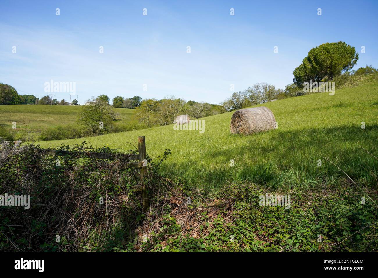 Rolling fields with round hay bales in meadow, Bordeaux, France Stock ...