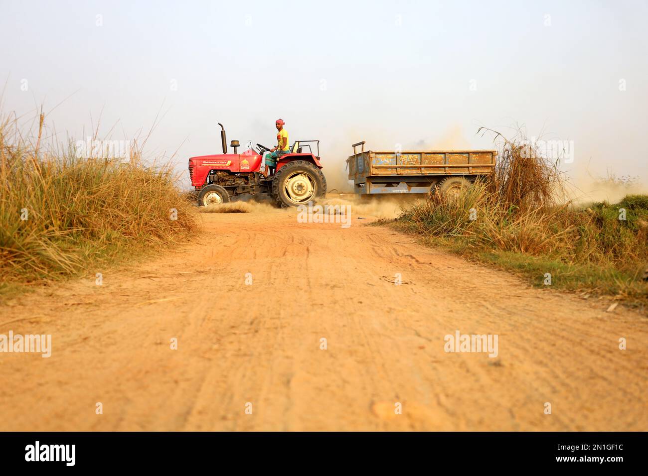 Munshigonj, Munshigonj, Bangladesh. 6th Feb, 2023. Roads and trees near ...