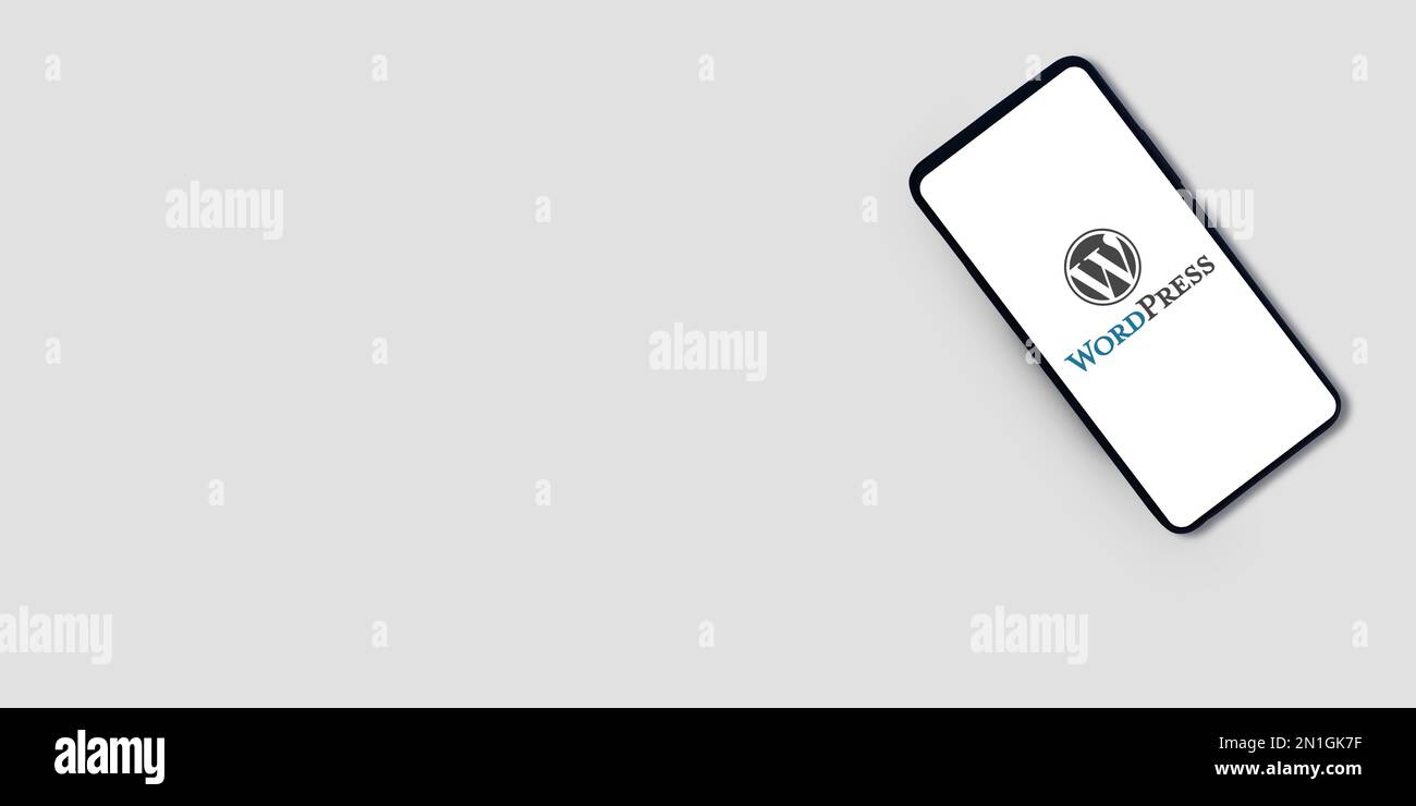Website making tool wordpress inside mobile screen with empty space ...