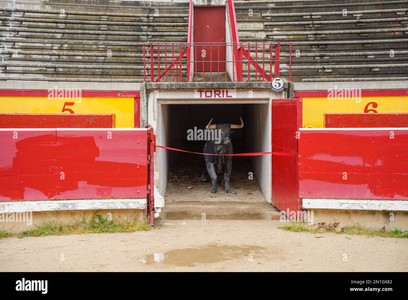 Corrida de toros de pamplona hi-res stock photography and images - Alamy