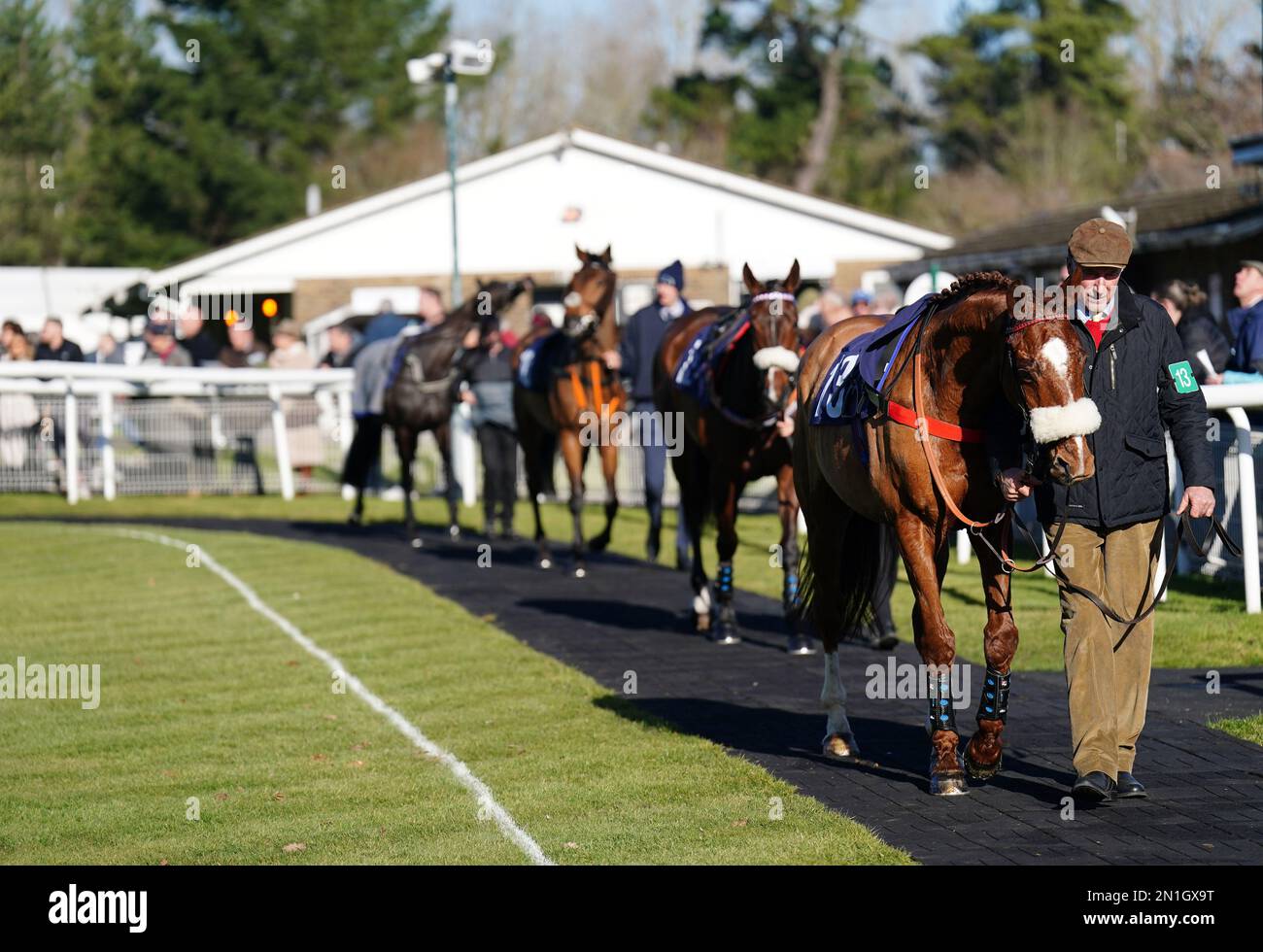 Horses in the parade ring before the Cazoo "Hands And Heels" Handicap ...
