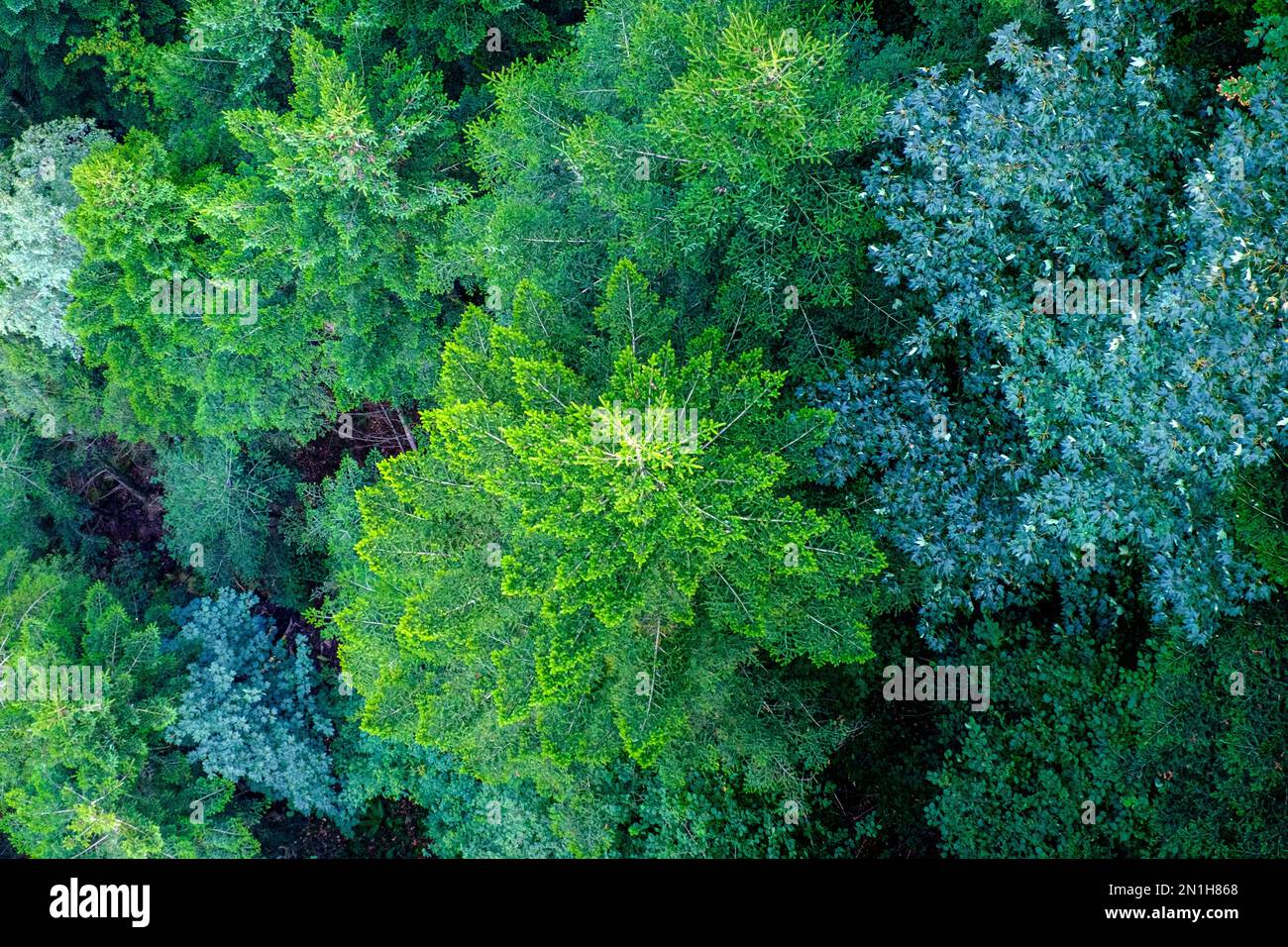 Trame texture hi-res stock photography and images - Alamy