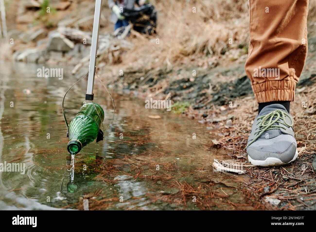 Volunteer picking glass bottles when cleaning forest lake Stock Photo ...