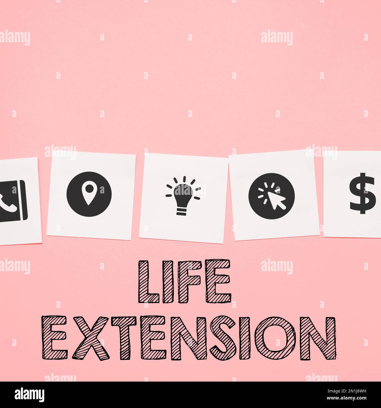 Conceptual display Life Extension. Business approach able to continue ... Conceptual display Life Extension. Business approach able to continue ...