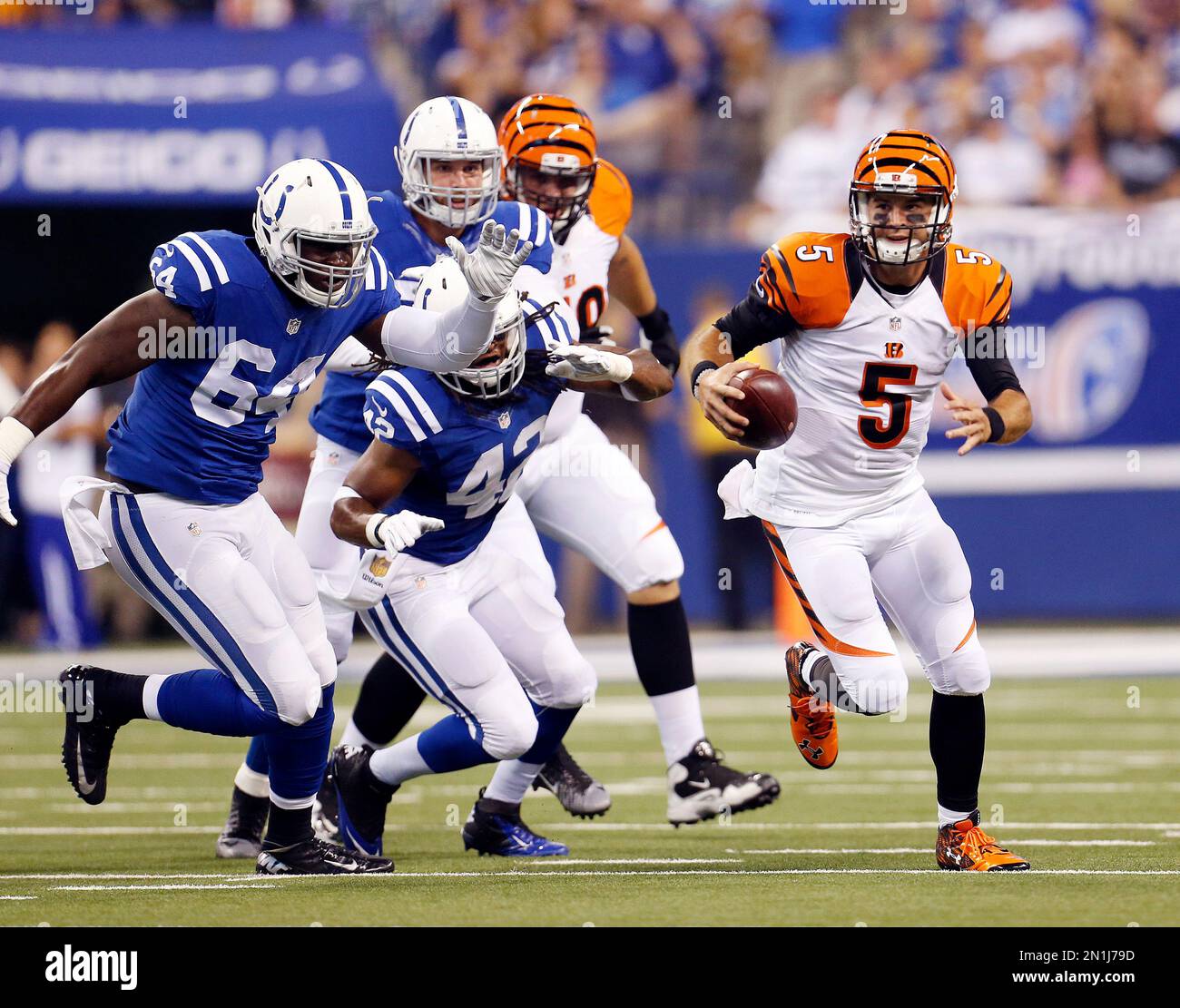 Cincinnati Bengals quarterback AJ McCarron (5) is chased by ...