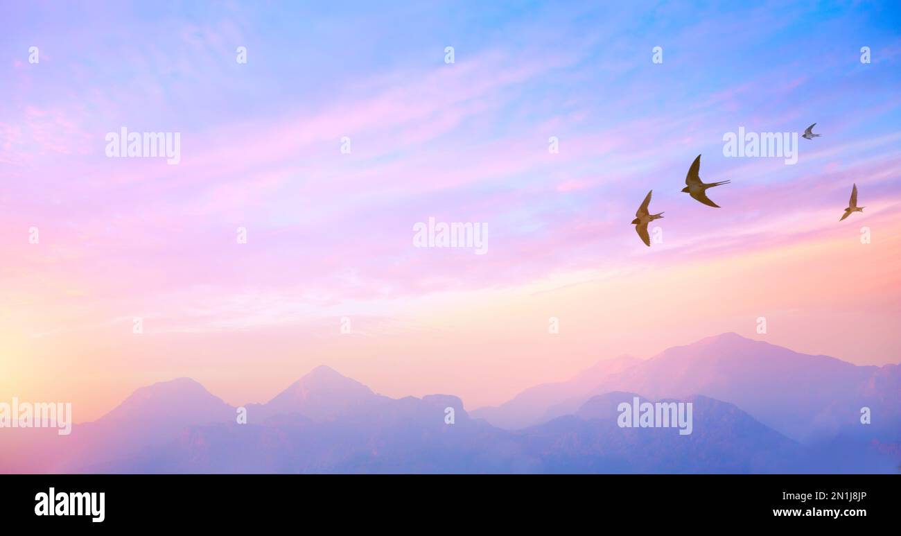 abstract beautiful peaceful spring morning sky background; sunrise new ...