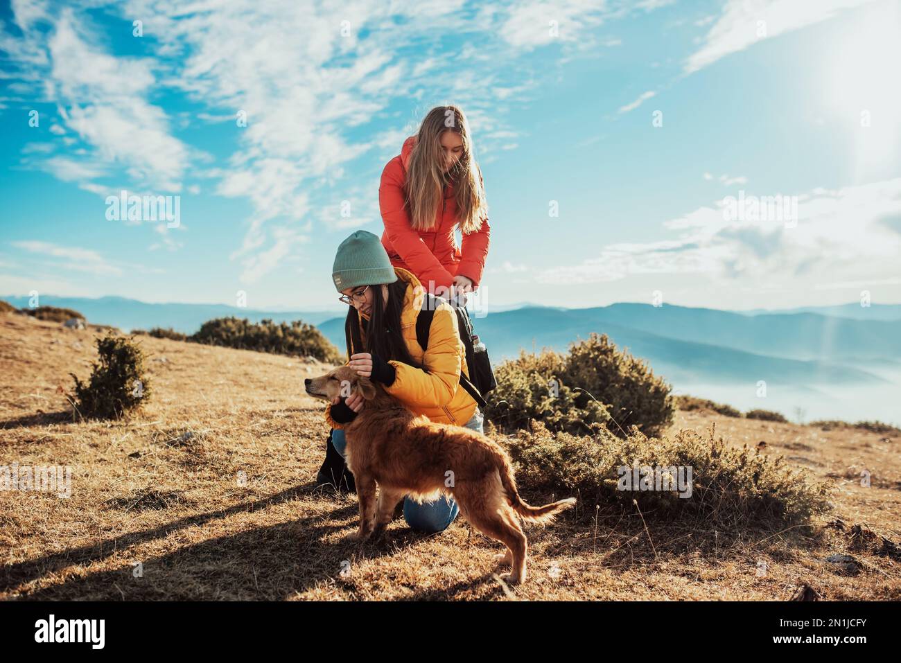 two friends are playing with a dog in nature Stock Photo - Alamy