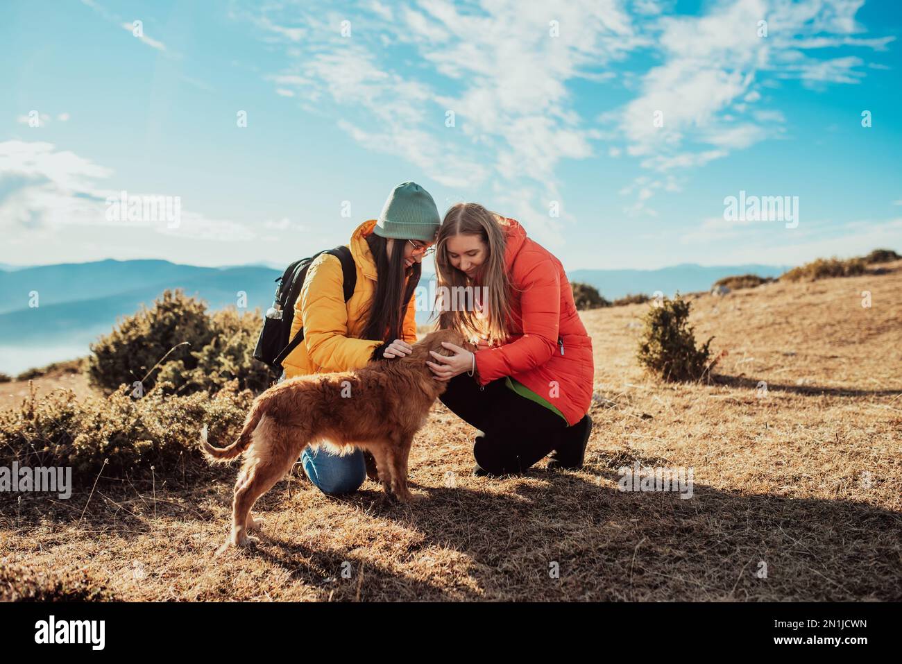 two friends are playing with a dog in nature Stock Photo - Alamy