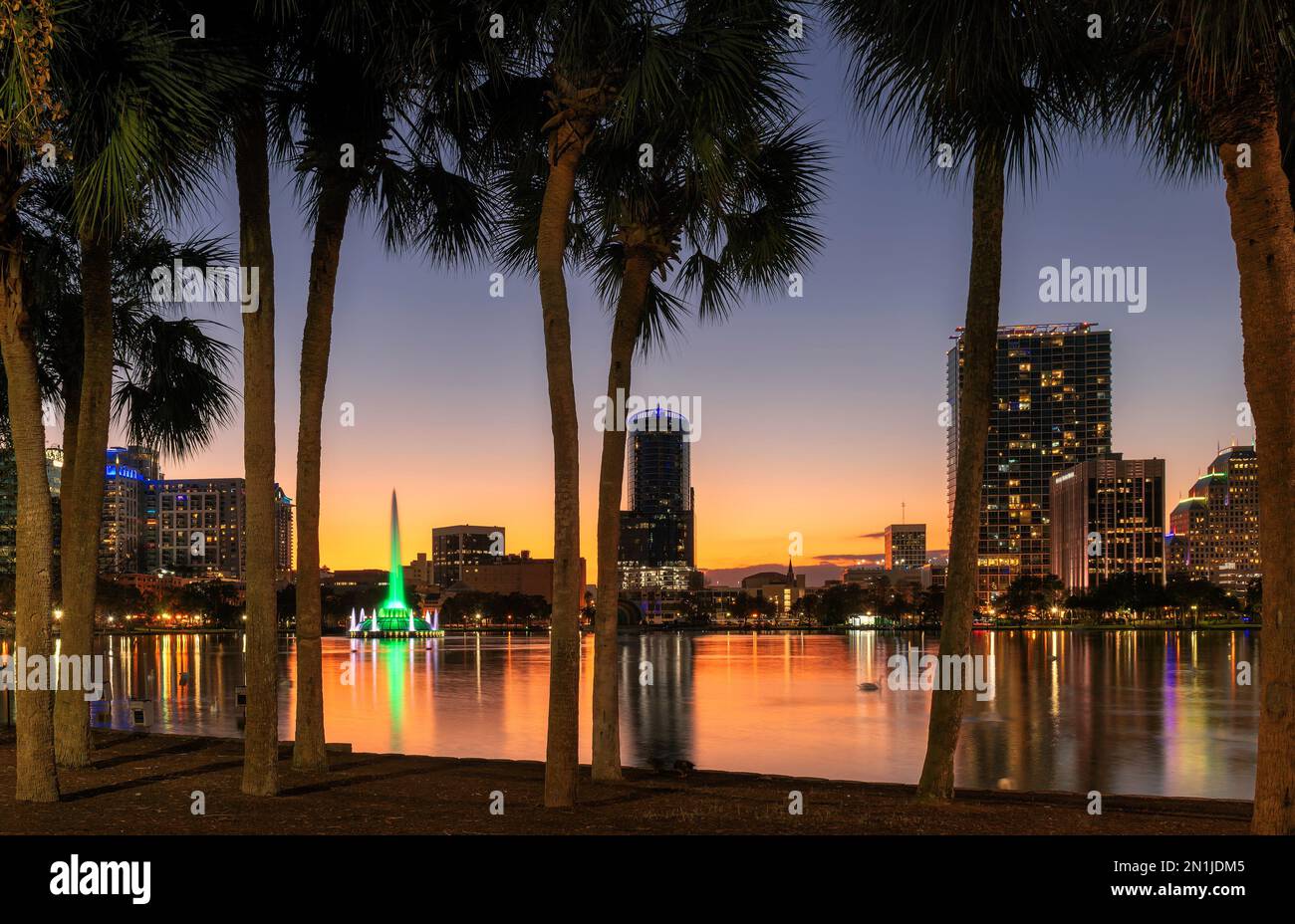 Orlando florida palm trees hi-res stock photography and images - Alamy