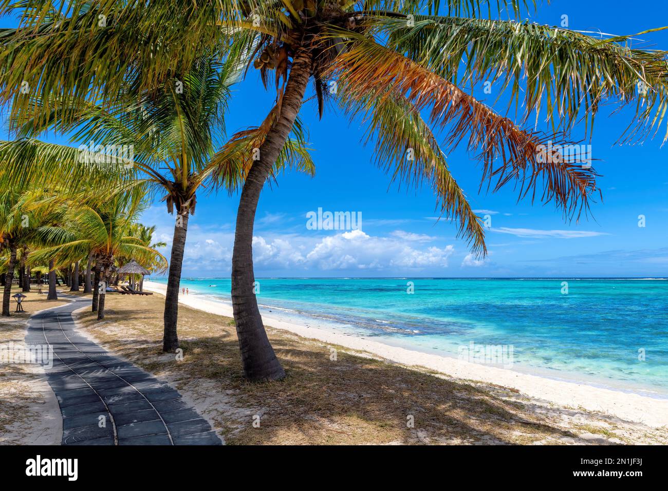 Beach alley in tropical beach with palm trees and turquoise sea Stock ...