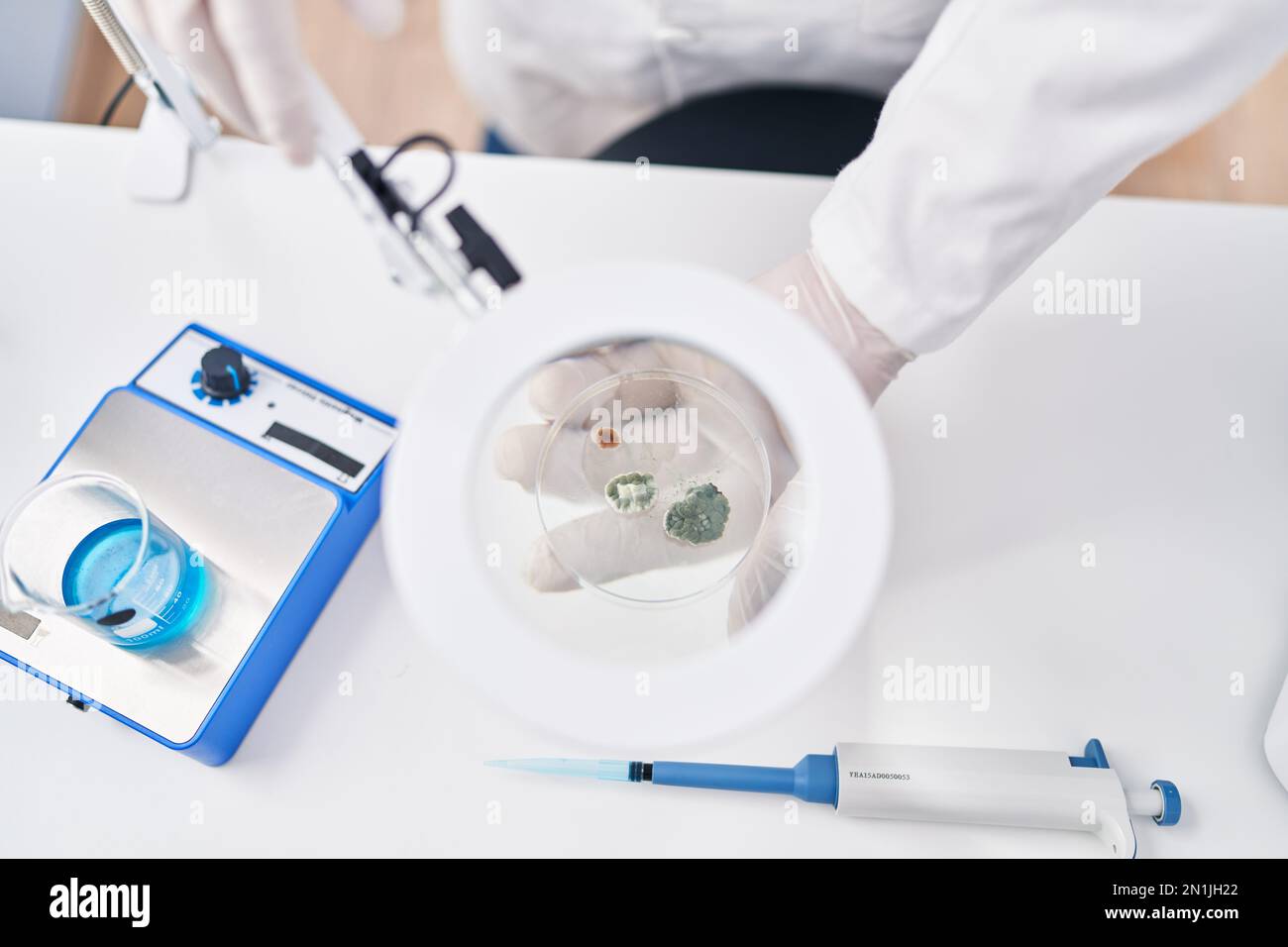 Young latin man scientist looking sample using loupe at laboratory ...