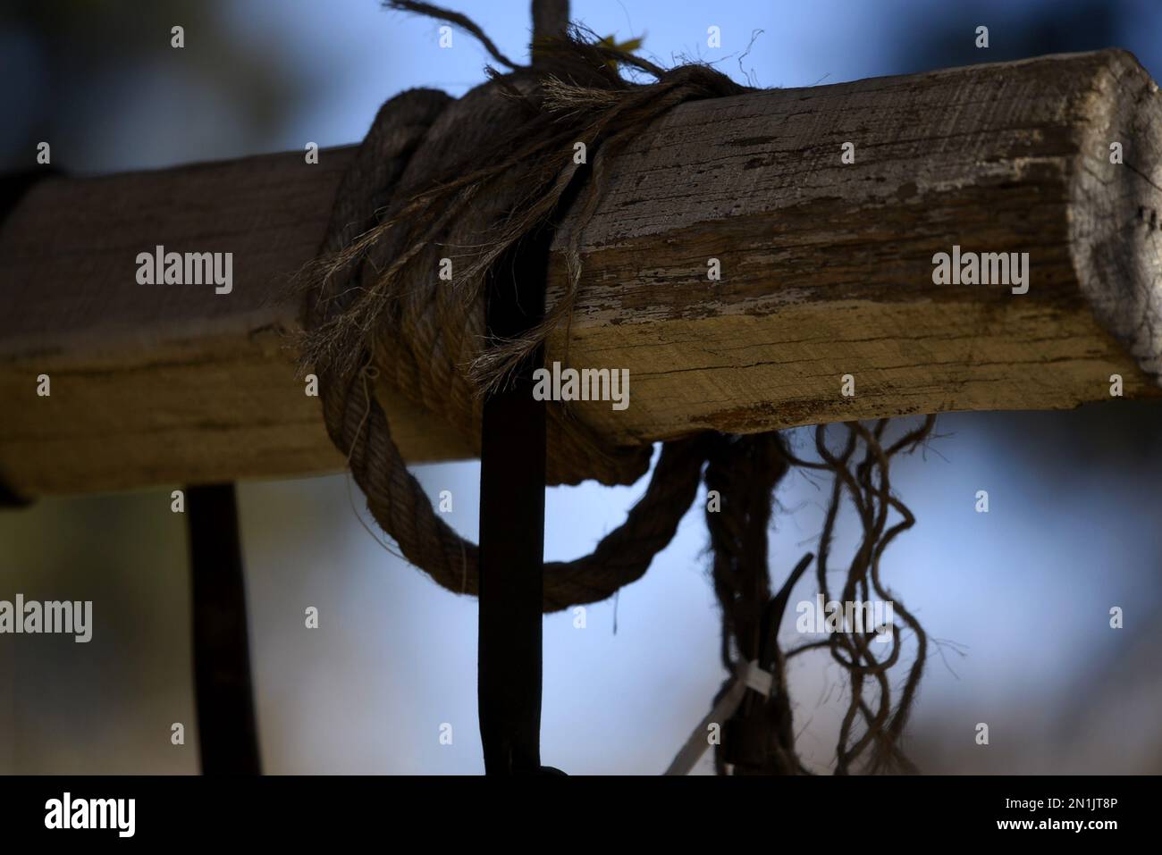 Old farm rope wrapped around a wooden log Stock Photo - Alamy