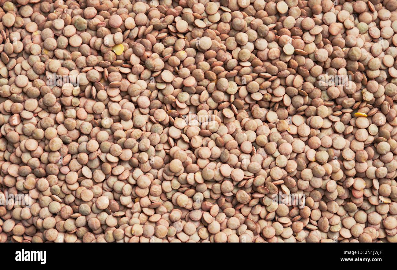 Beautiful lentils image Stock Photo - Alamy