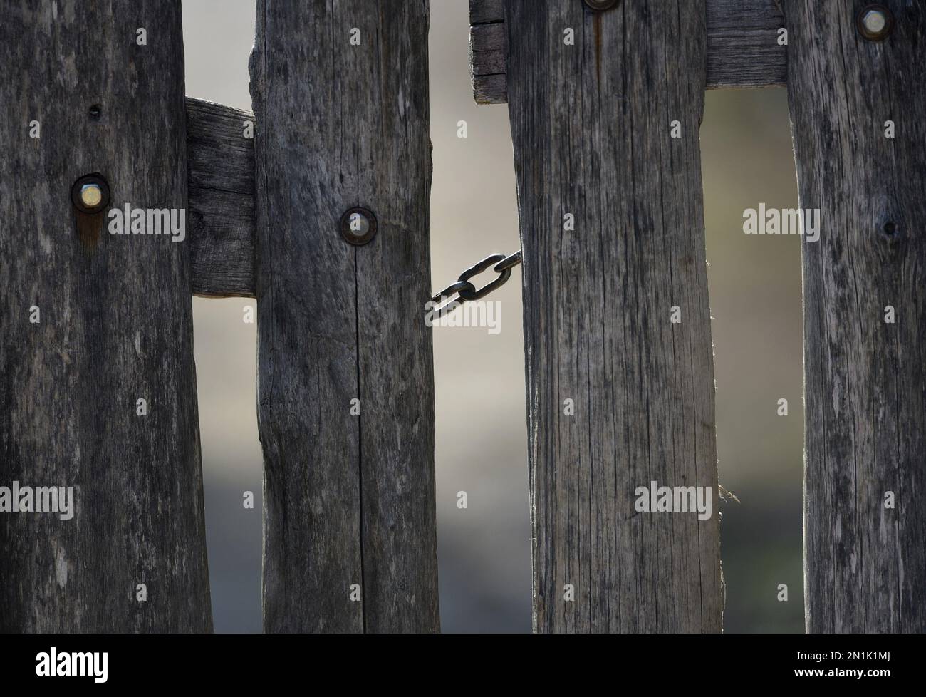 Old wooden ladder tree trunk hi-res stock photography and images - Alamy