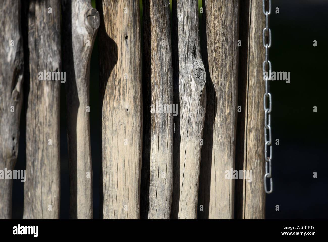 Old wooden ladder tree trunk hi-res stock photography and images - Alamy