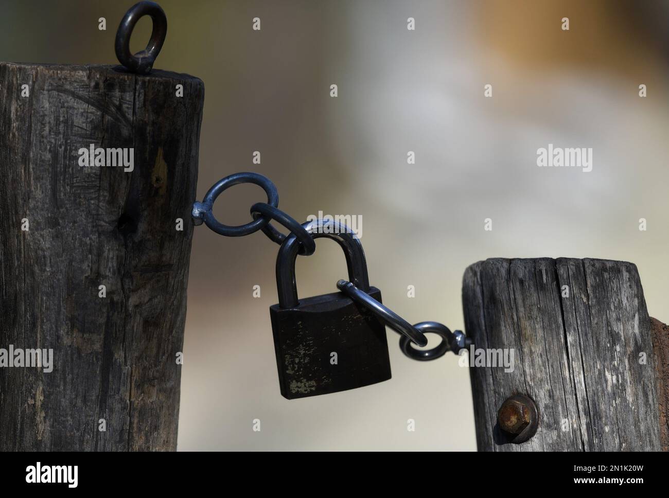 Padlock and chain between two wooden tree posts Stock Photo - Alamy