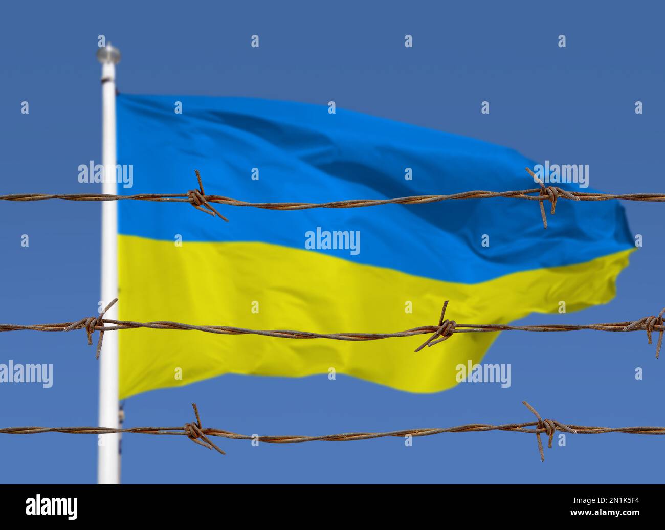 Metal fence with barbed wire on a ukrainian flag. Separation concept ...