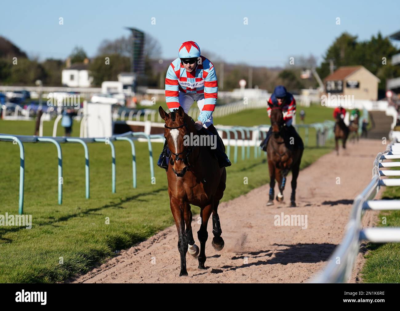 Kilbeg king horse hi-res stock photography and images - Alamy