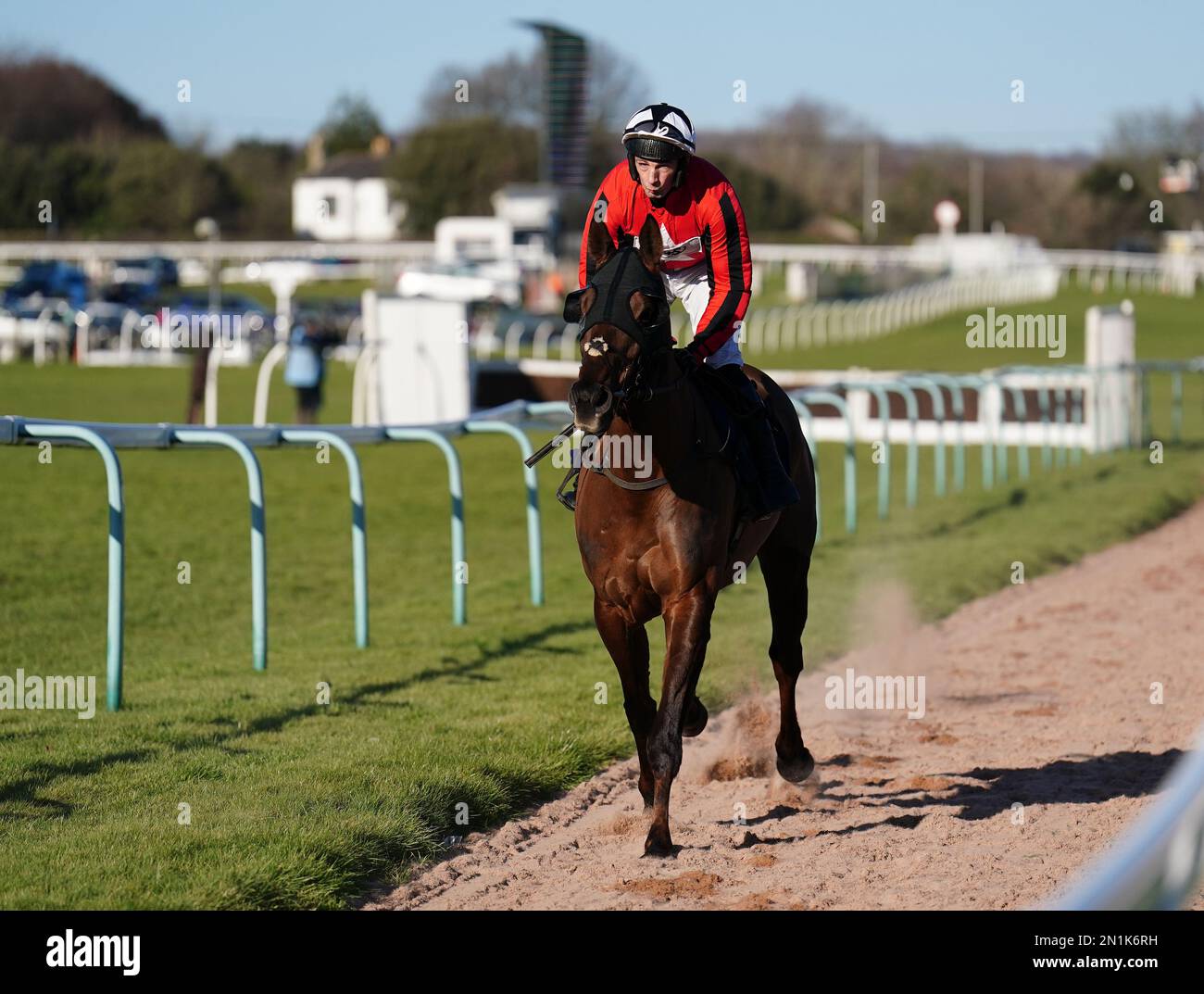 Red Happy and James Best going to post before the Cazoo Novices' Hurdle ...