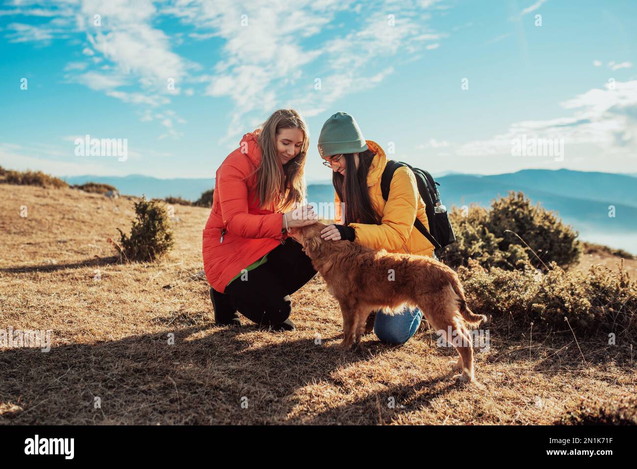 two friends are playing with a dog in nature Stock Photo - Alamy