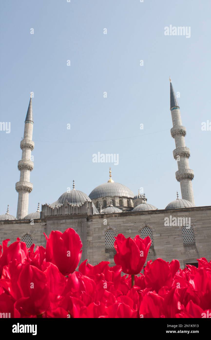 Europe turkey istanbul red mosque hi-res stock photography and images ...