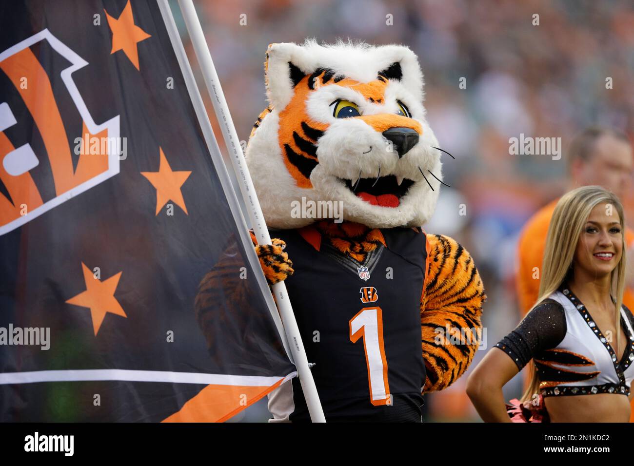 Cincinnati Bengals mascot Who Dey stands on the sidelines in the first ...