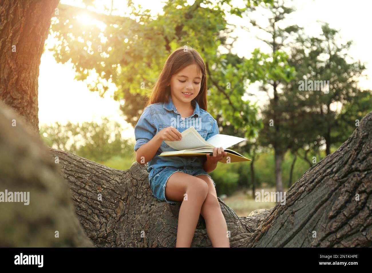 Cute little girl reading book on tree in park Stock Photo - Alamy