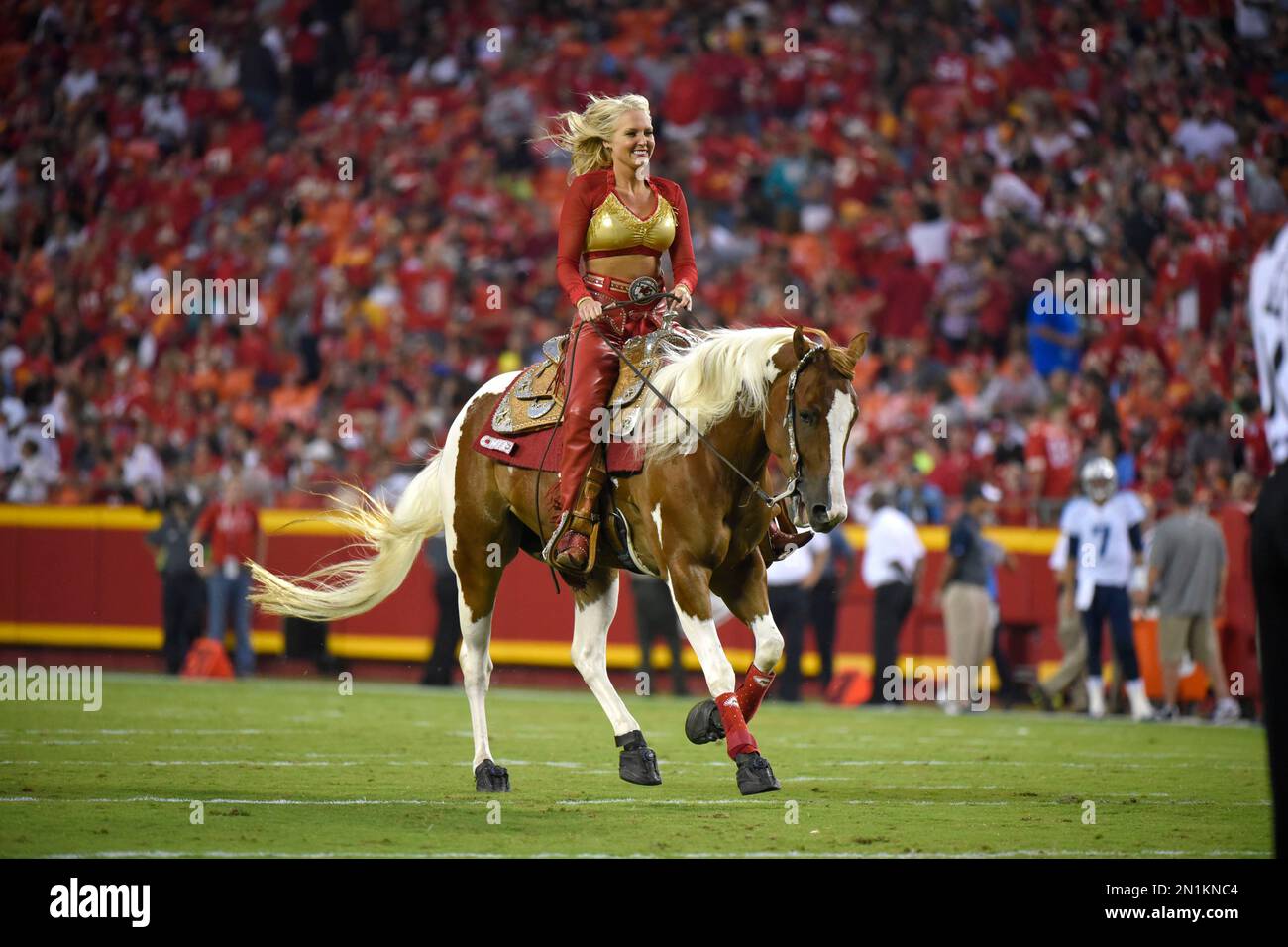 Warpaint, The Kansas City Chiefs mascot, gallops after a touchdown ...