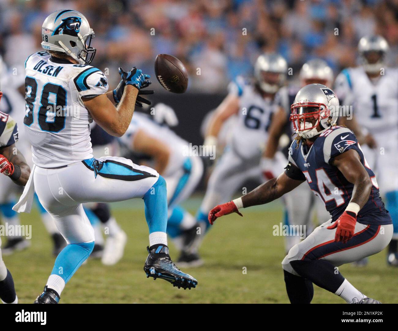 Carolina Panthers' Greg Olsen (88) drops a pass as New England Patriots ...