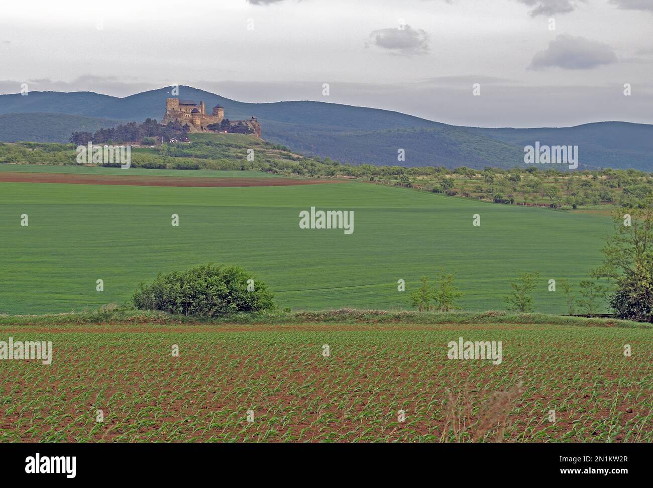 view over arable plains to castle Zemplen hills, Hungary May Stock ...