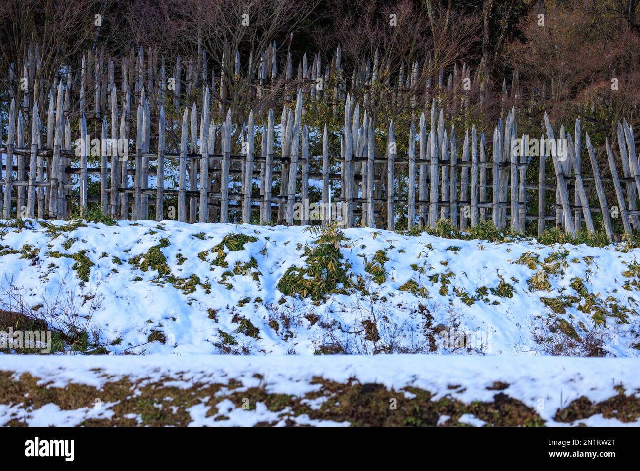 Sharpened wooden stakes form defensive perimeter on snowy hillside ...