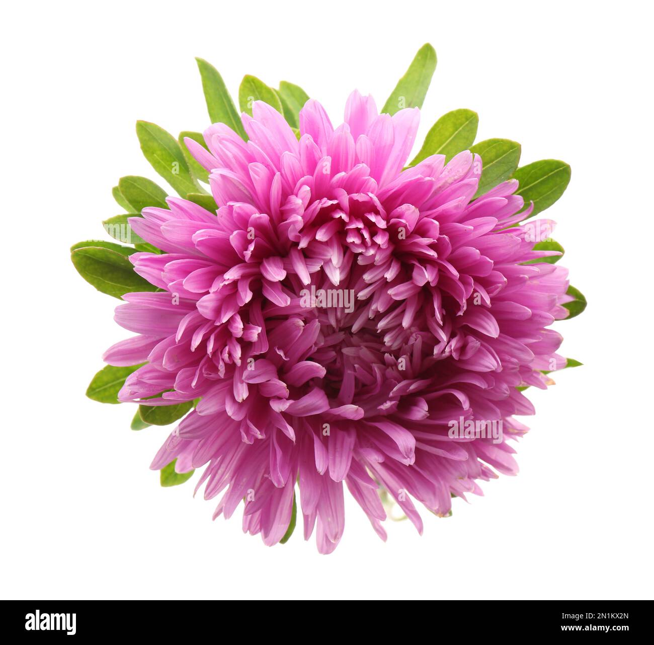 Top view autumnal decor Cut Out Stock Images & Pictures - Alamy