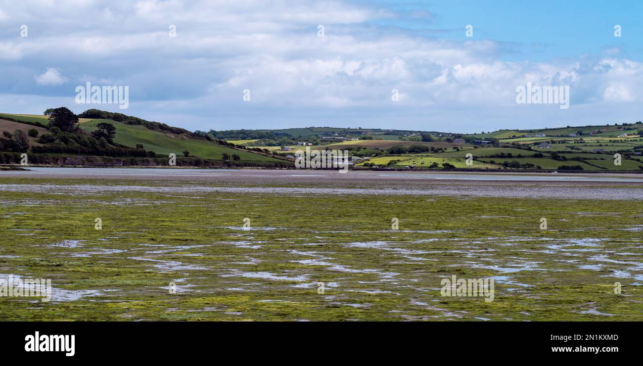 Open seabed after low tide, swamp area. Green hill. White clouds in a ...