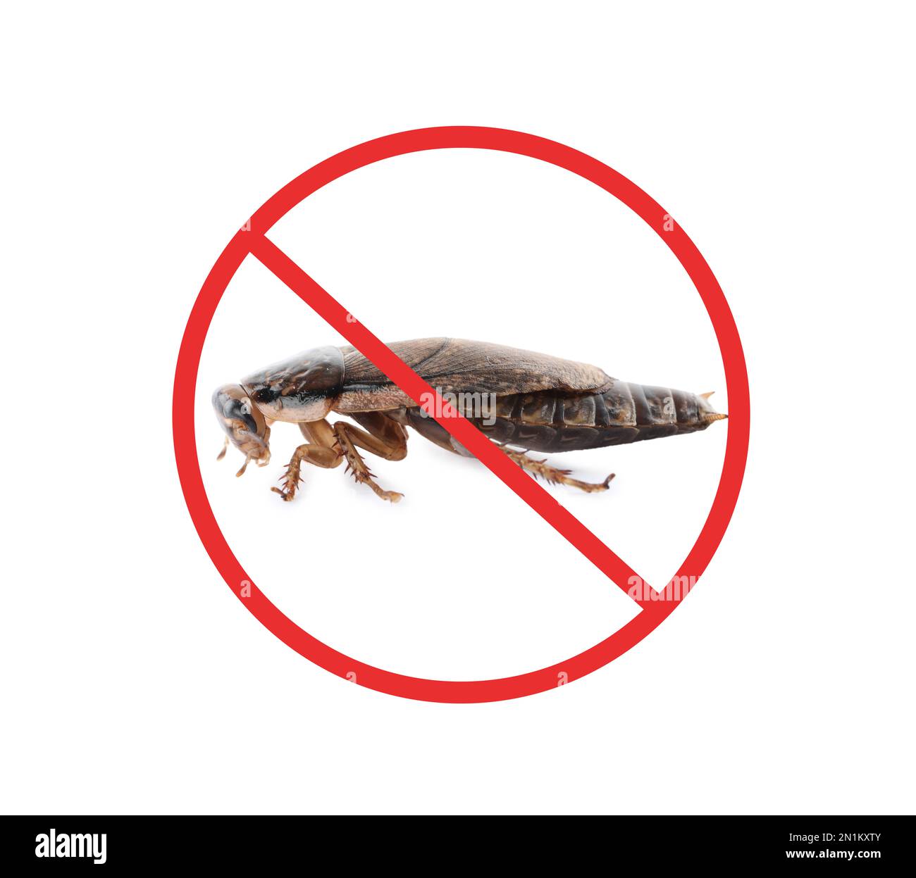 Cockroach with red prohibition sign on white background. Pest control ...